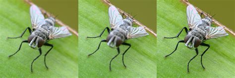 Camera Bracketing Explained What Is Bracketing In Photography Yluy