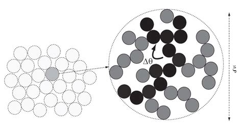 Scheme Of The Internal Structure Of Colloidal Gels The Particles Here