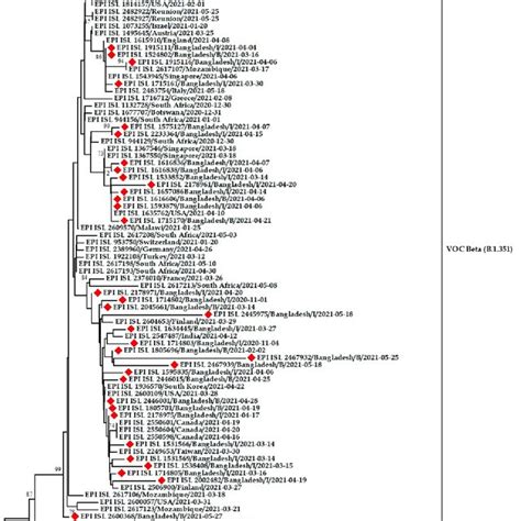 Phylogenetic Analysis Of Emerging Beta Variants Of Sars Cov 2 In