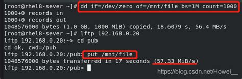 redhat linux 8 中 vsftp服务部署 redhat8安装配置vsftp csdn博客
