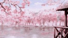 Anime Cherry Blossom Tree Gifs Tenor