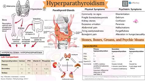 A Patient With Primary Hyperparathyroidism Has A Serum Ca Nursing Exam