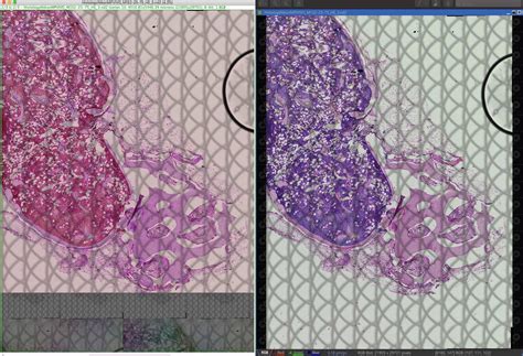 Nd2 Skewed Image Display · Issue 3661 · Omebioformats · Github