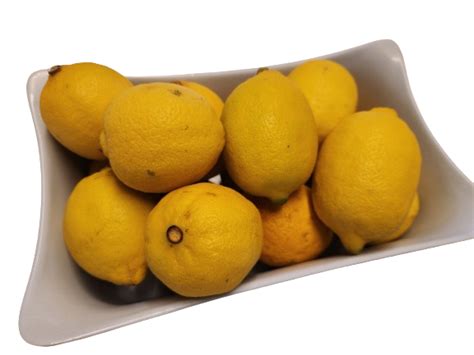 Citroner Kubertsfisk Dk