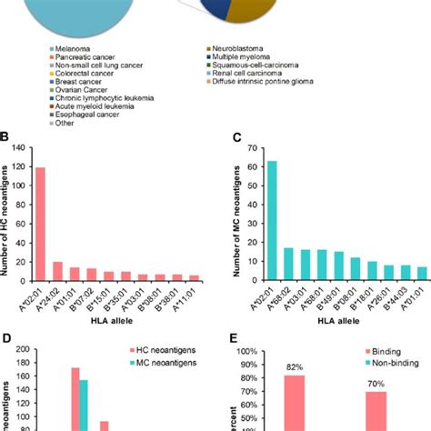 Pdf Dbpepneo A Manually Curated Database For Human Tumor Neoantigen Peptides