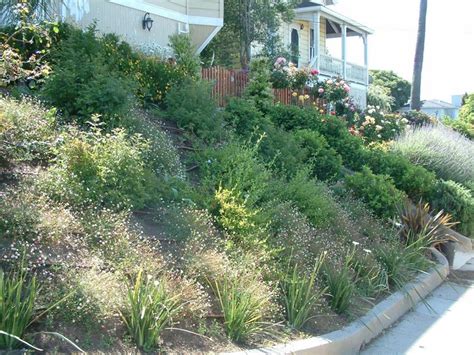 Tree Planters On Steep Slope