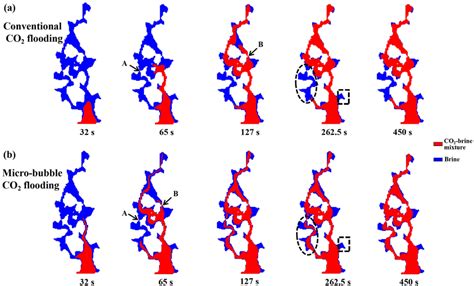 Co2 Migration Process And Distribution In A Heterogeneous Pore Cluster