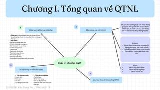 Mindmap Kiều Trang Thư QTNLCB.pdf