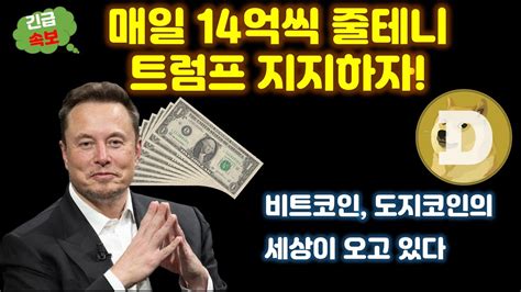 긴급속보 처음엔 가짜 뉴스인줄 알았다~ 일론머스크가 매일 매일 14억원을 지급하겠다고 밝힌 이유와 도지코인 비트코인의 밝은 미래 Youtube