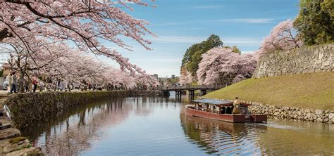Hikone Castle Hotel Near Hikone Castle Nearby Attractions Lake