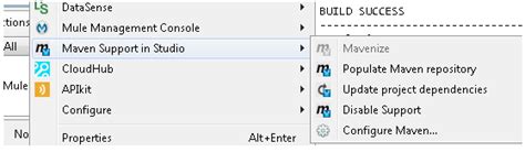 Mule Copies Maven Dependencies Into Env M2 REPO Folder Stack Overflow