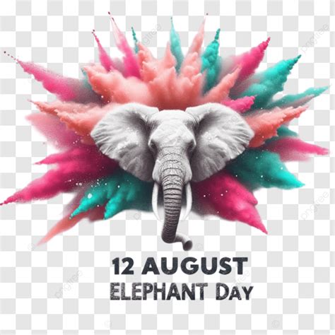 3d 세계 코끼리의 날 템플릿은 투명한 배경에 멋진 색상과 스플래시를 제공합니다 3d 세계 코끼리의 날 템플렛에는 멋진 코끼리와 색상이 투명한 배경에 스플래시됩니다 멋진