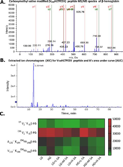 Glycated Hemoglobin Peptide Analysis Was Performed Using Targeted Download Scientific Diagram