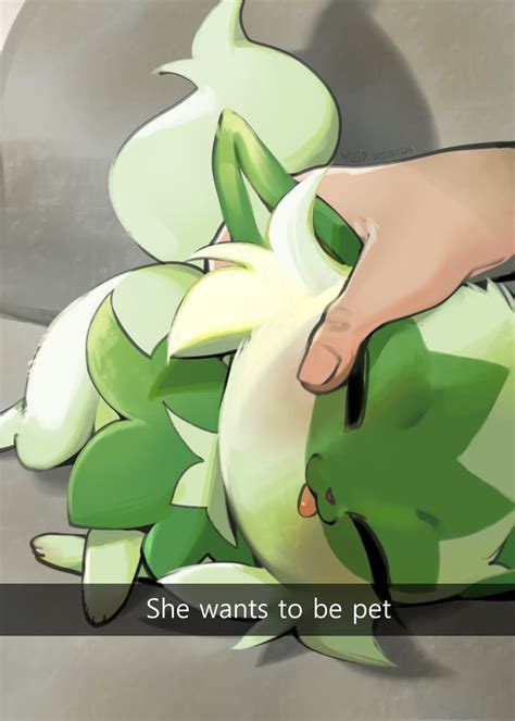 Sprigatito Pokemon Drawn By Yuio58ok Danbooru