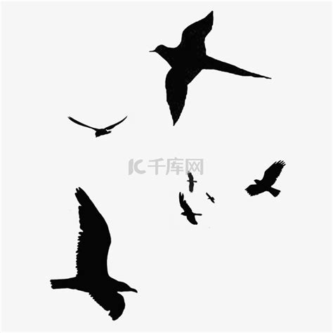 黑色飞鸟小鸟素材图片免费下载 千库网