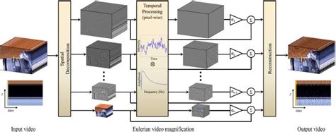 Figure 1 From Efficient Denoising Approach Based Eulerian Videomagnification Forcolour And