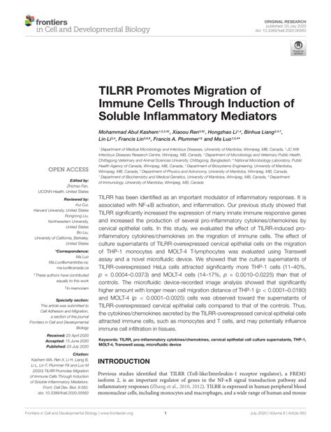Pdf Tilrr Promotes Migration Of Immune Cells Through Induction Of