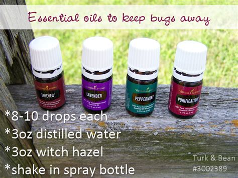 Make Your Own Bug Repellent Cornfed Crunchycornfed Crunchy