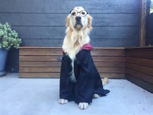 Github Asajmwrangle And Analyze Data