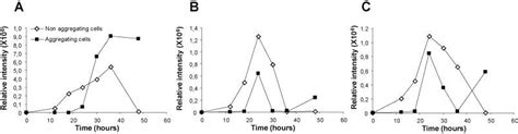 31 the relative intensity of frua in non aggregating and aggregating