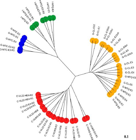 Clustering Of Endolithic Communities By Substrate Type Unweighted Pair Download Scientific