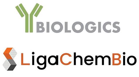 와이바이오 리가켐바이오에 면역항암 항체 기술이전