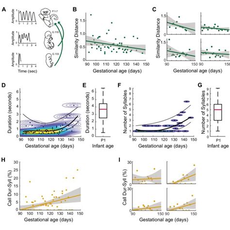 Darshana Narayanan Phd Psychology And Neuroscience Princeton