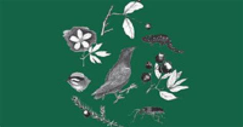 책의 향기 美 메인 주의 깊은 숲 고향 땅에서 만난 생명