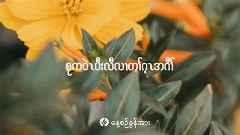 ကိၣ်လၢတနံၤဘၣ်တနံၤ ၂၀၂၄ နံၣ် လါယူၤလံ ၂၂ သီ Youtube