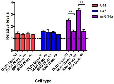 The Gas5 Derived Snornas Are Not Processed By Dicer Relative Levels Of Download Scientific