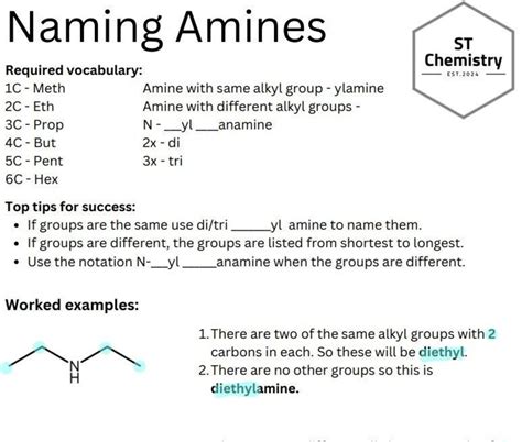 Amines Naming Organic Compounds Qanda Set Etsy