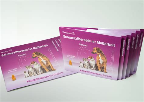 Metacam® Boehringer Ingelheim Göbel Gröner