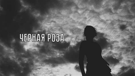 TEZ - Чёрная роза - YouTube