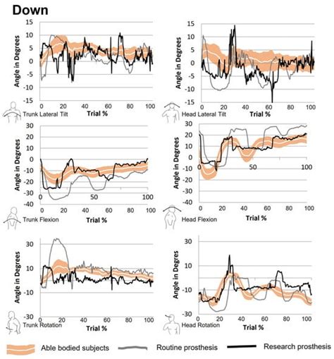 Prosthesis An Open Access Journal From Mdpi Prosthesis An Open Access Journal From Mdpi