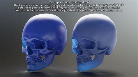 Subsurface Workshop Sss Shaders For Iray Daz 3d