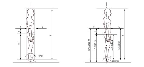 Simplified Human Body Model To Calculate Inertia Moment And Dimensions Download Scientific