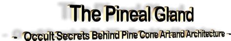 The Pineal Gland Occult Secrets Behind Pine Cone Art And Architecture