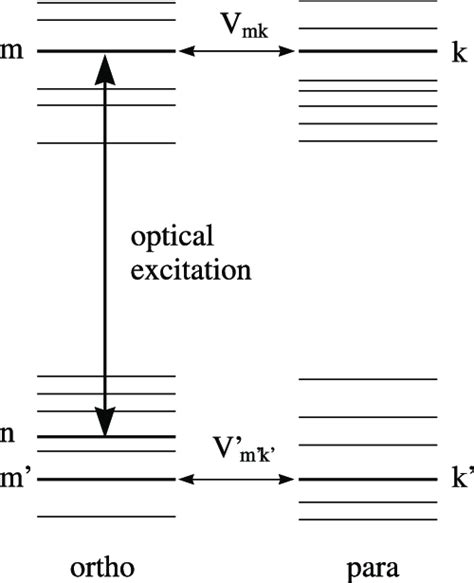 Level Scheme Horizontal Lines Indicate The Ortho Para Mixing In The Download Scientific
