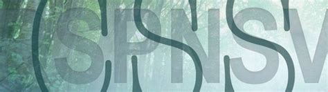 Estilos Atributos Y Valores De Css Esenciales Para El Responsive Web Design