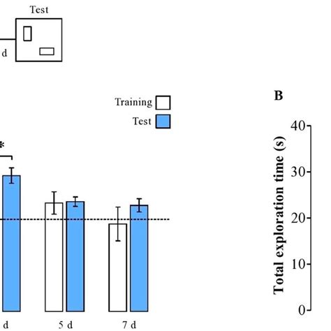 Rats Maintain The Object Location Memory In 1 And 3 But Not In 5 Or 7