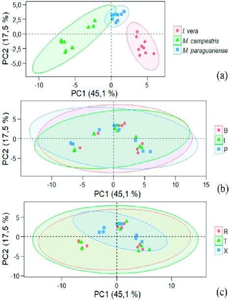 Pca Score Graph With Mean Second Derivative Spectra Of Fabaceae Download Scientific Diagram