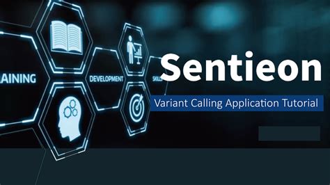 Sentieon Application Tutorial Structural Variant Detection For