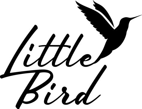 little bird