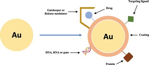 Gold Nanoparticles Functionalization With Different Kind Of Ligands Download Scientific Diagram