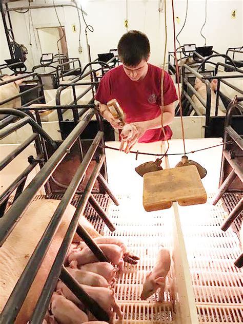 Cole Claussen Pv Grad Finds Agriculture Through North Scott North