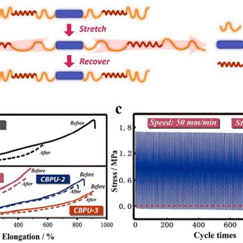 A Schematic Of The Conformational Variation Of The Soft Segment And Download Scientific