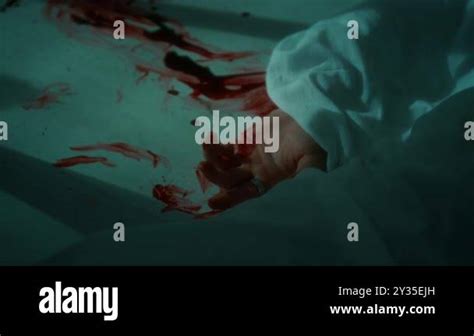 Violent Murder Stock Videos And Footage Hd And 4k Video Clips Alamy
