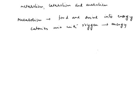 Solved C How Does The Differential Expression Of Acc1 And Acc2 In