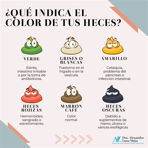 Las Heces Tienen Una Gama De Colores Draalexandraluna Facebook
