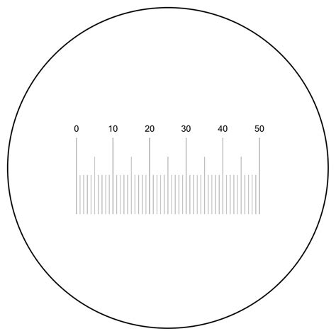 Eyepiece Micrometer For Biological Microscope Ocul Vicedeal